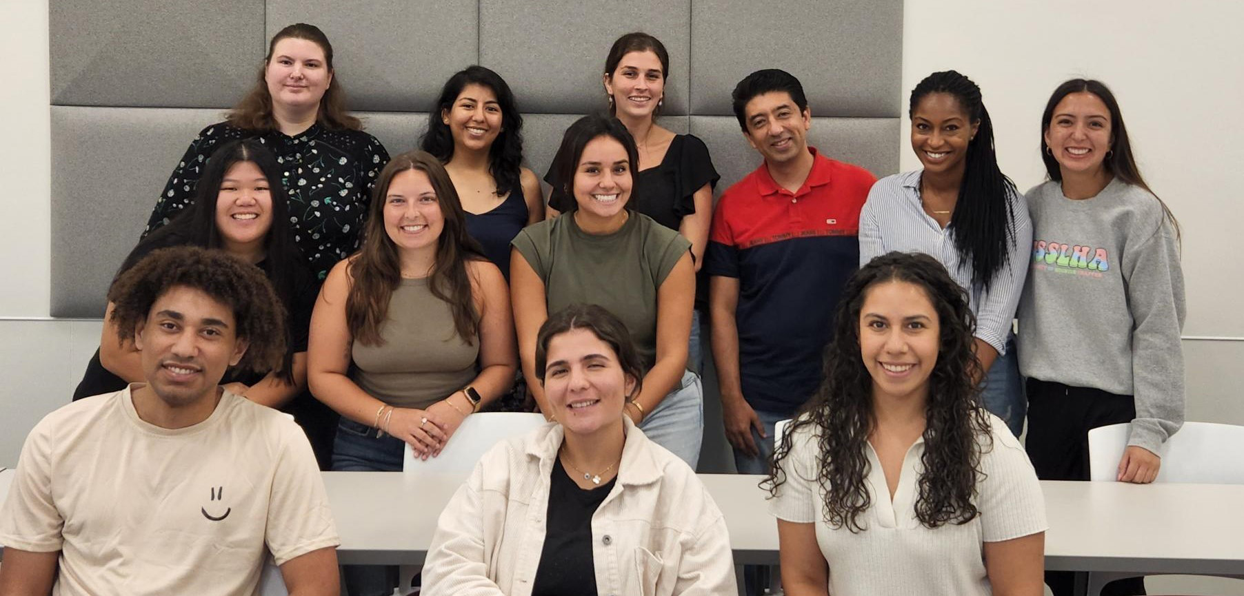 Post-Baccalaureate Leveling Program - University of Houston