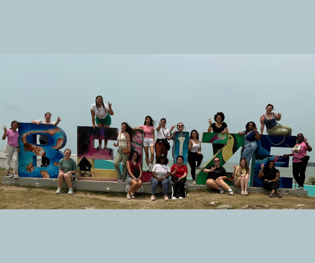 Communication Sciences and Disorders - University of Houston